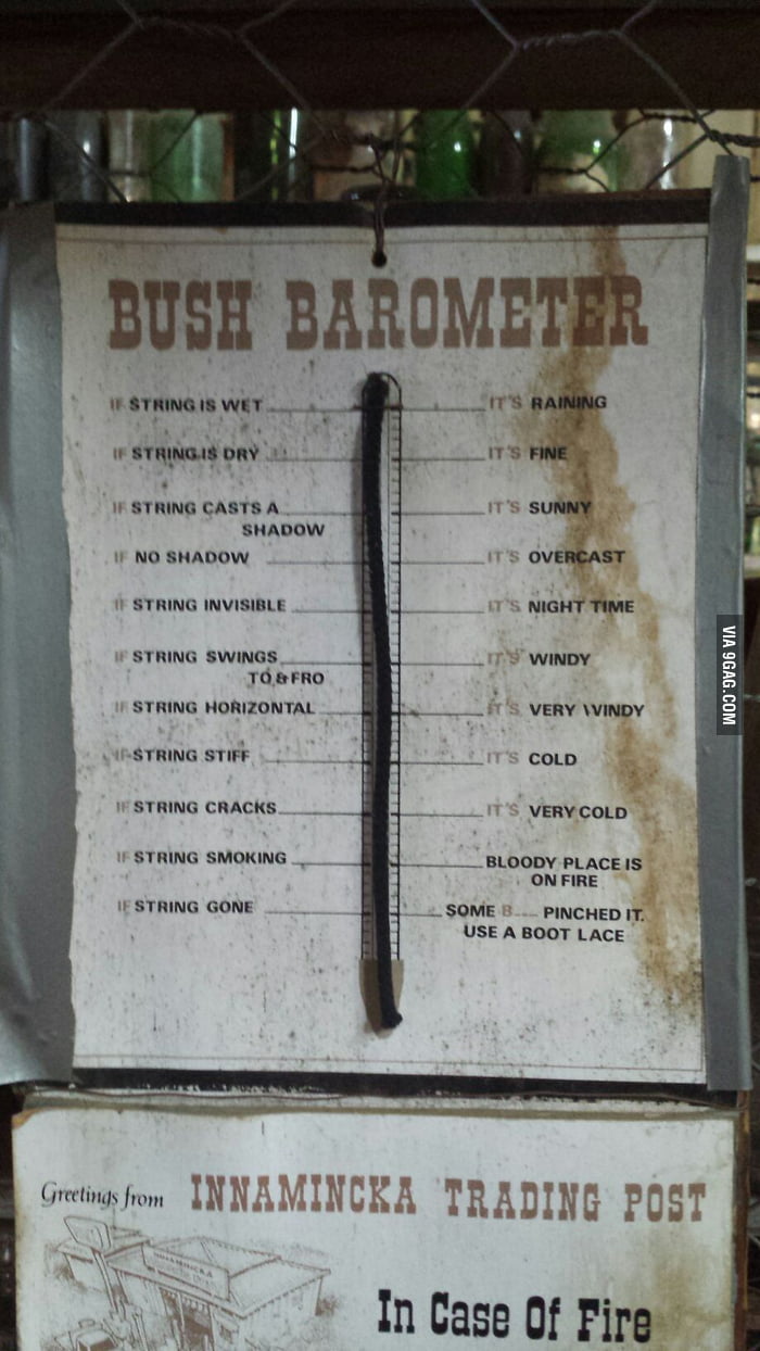 Australian Bush Barometer - 9GAG