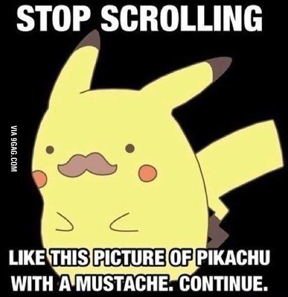 Stop scrolling - 9GAG