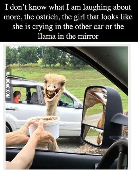 LooooooooL - 9GAG