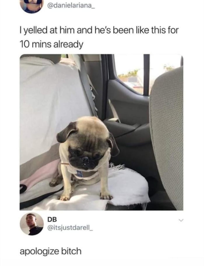 Apologize b*tch - 9GAG
