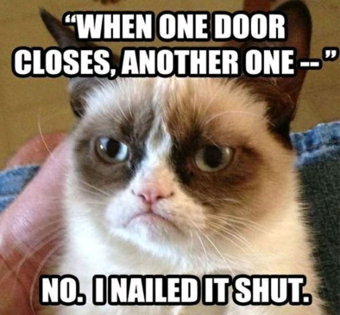 Classic grumpy cat - 9GAG