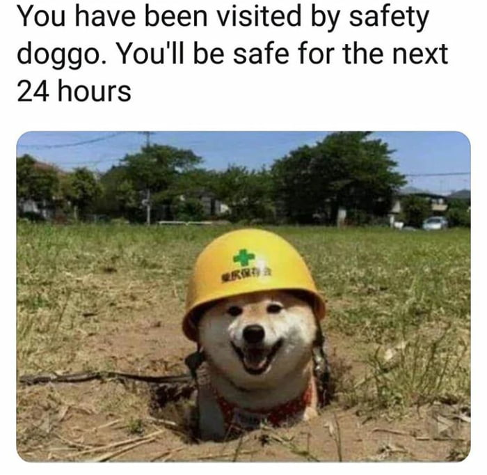 Safety doggo - 9GAG