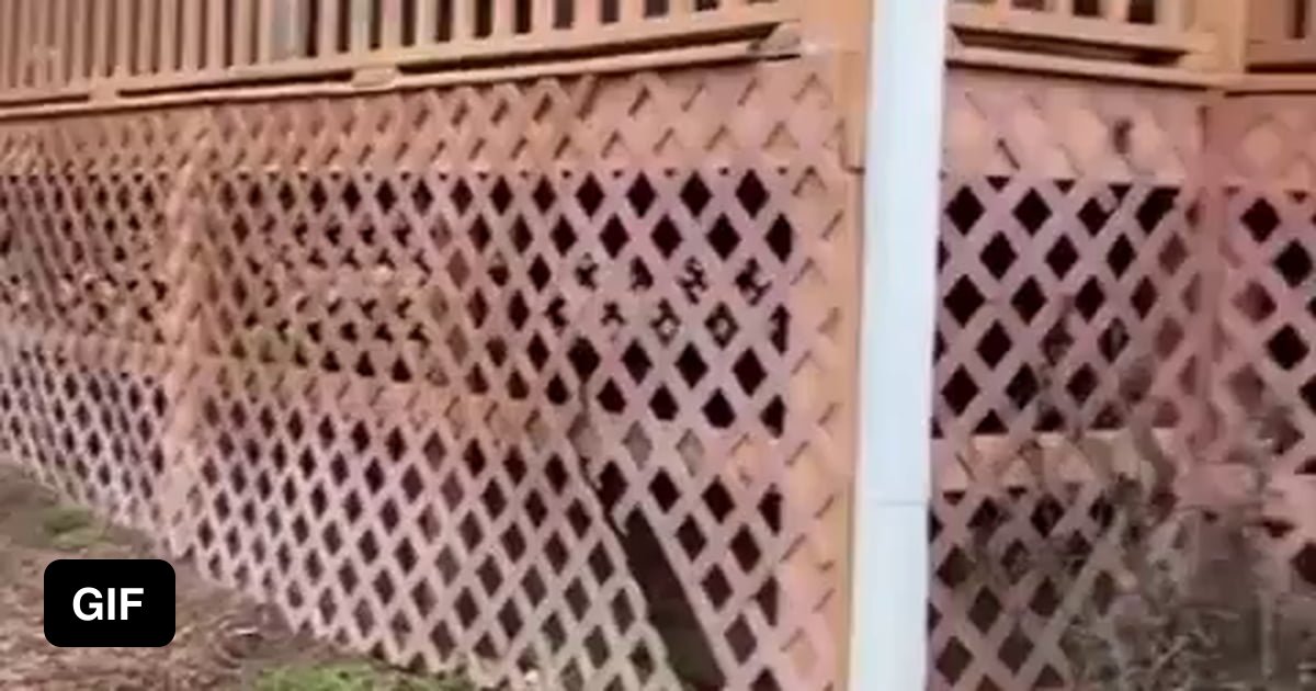 Help, stuck! - 9GAG