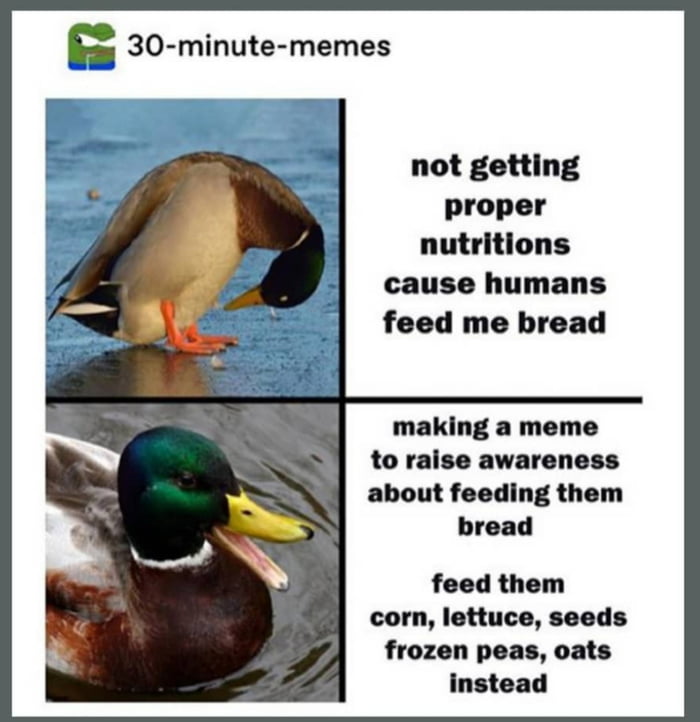 30 minute memes - 9GAG