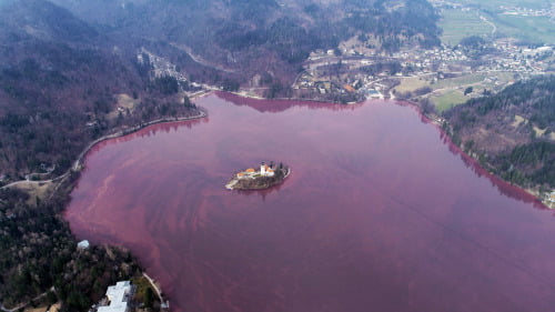 The usually emerald water of Lake Bled (Slovenia) turned completely red ...