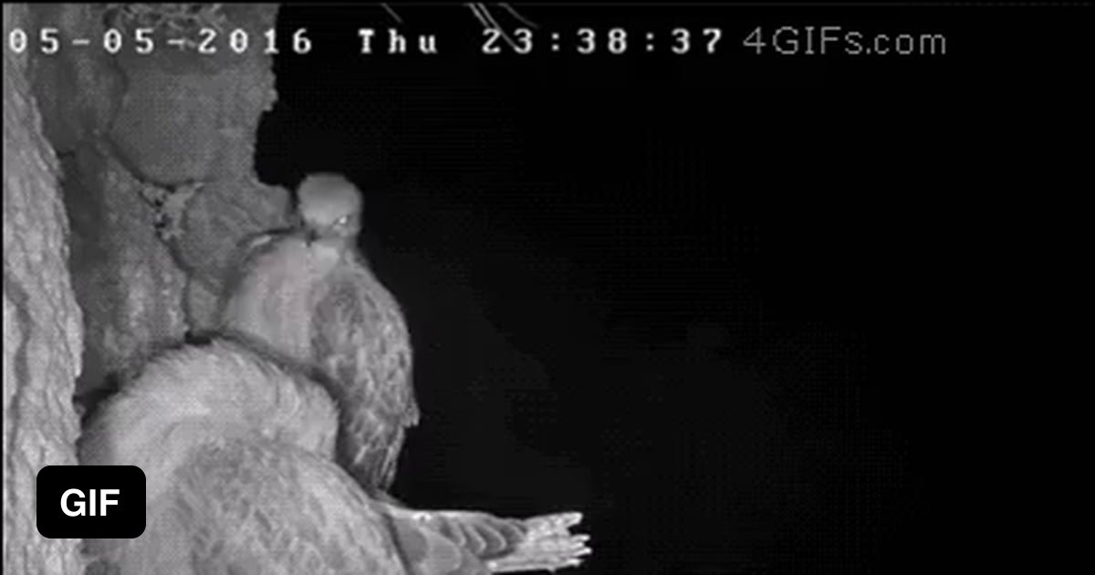 Midnight snacking - 9GAG