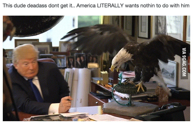 It couldn't be more succinct - 9GAG