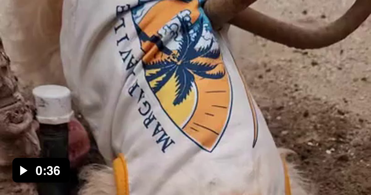 Just Keep Digging... - 9GAG