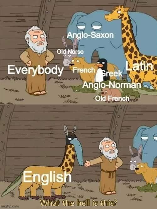 Accurate representation of the English Language - 9GAG