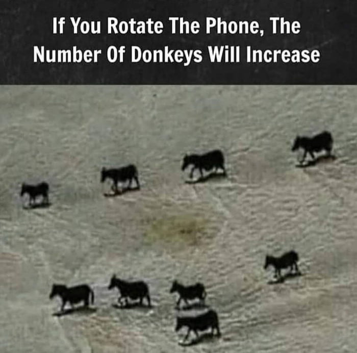 Some old illusion - 9GAG