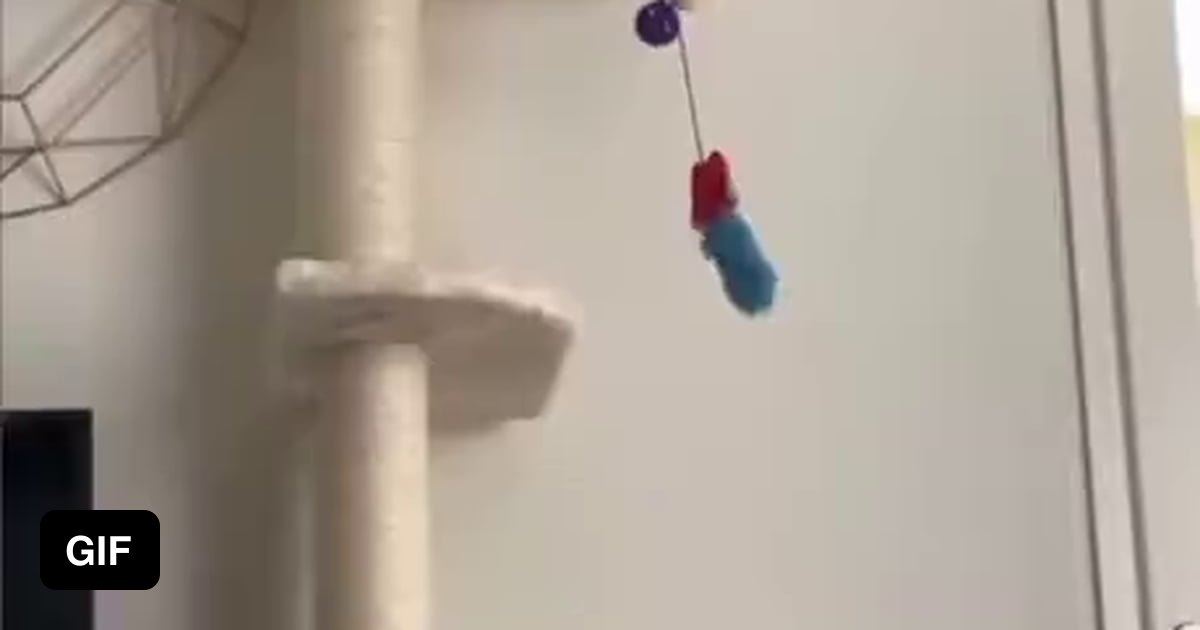 Wenn du am Wochenende beim Saufen mal wieder den Absprung verpasst hast ...