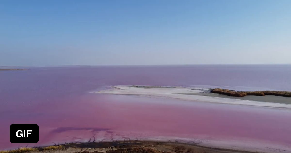 Lake Lemuria (Pink Lake), Ukraine - 9GAG