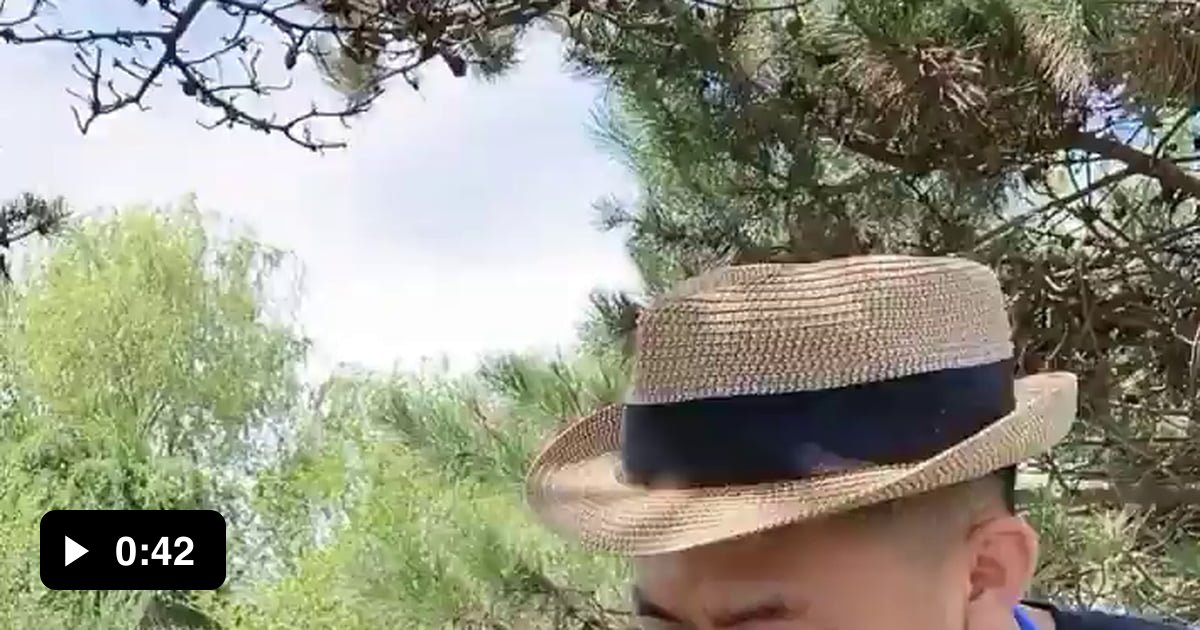 Monkey learns to play harmonica - 9GAG