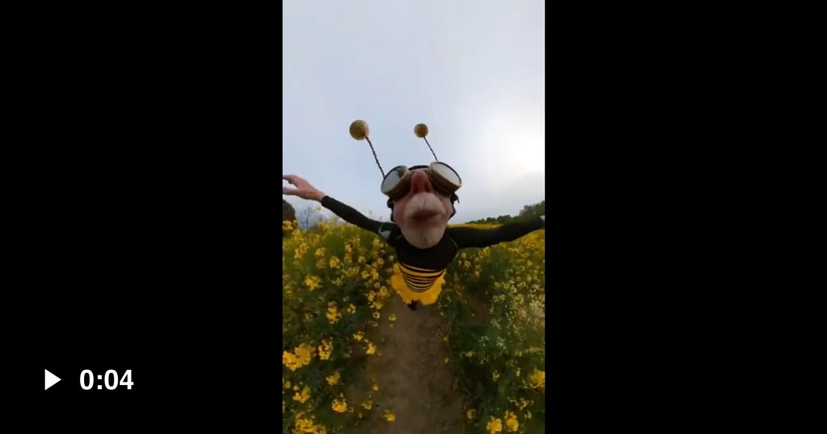 Bee guy - 9GAG