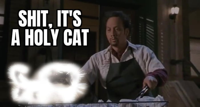 "Holy shit, it's a cat" - 9GAG