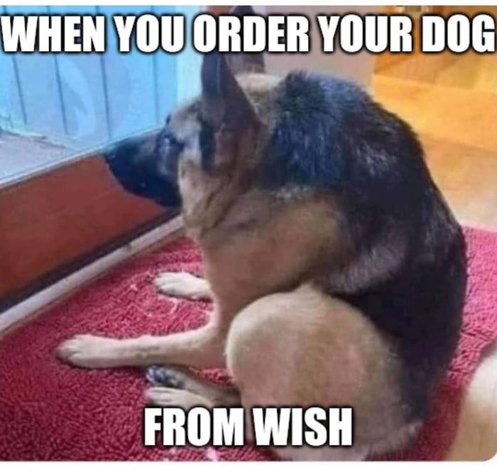 Wish be trippin - 9GAG