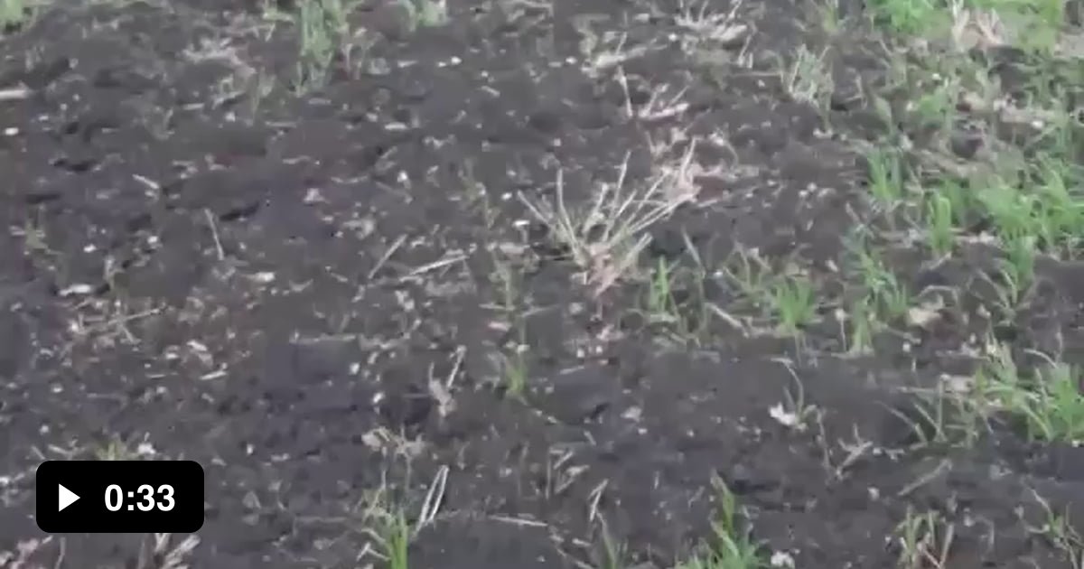 Meanwhile outside of Kiev - 9GAG