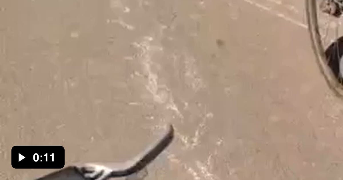 Ukrainian cyclist with a bombshell in the back seat - 9GAG