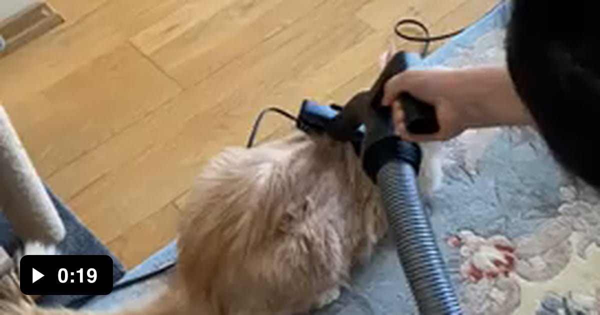 Always clean and clean - 9GAG