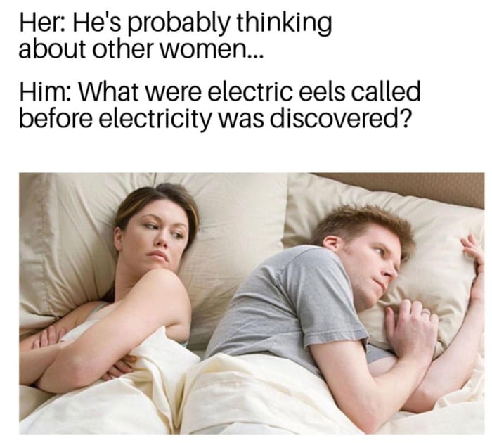 Eels? - 9GAG