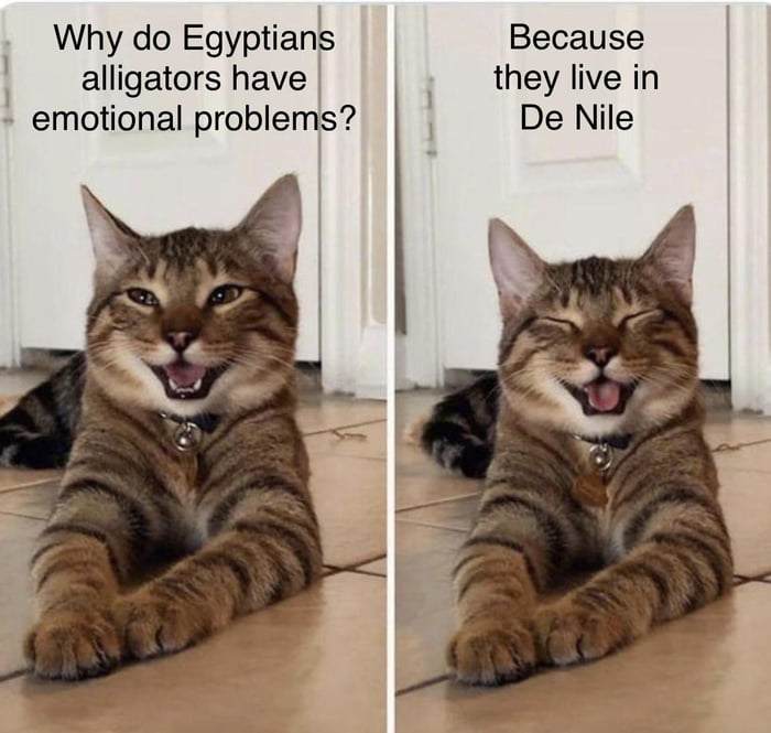 I’ll see myself out - 9GAG