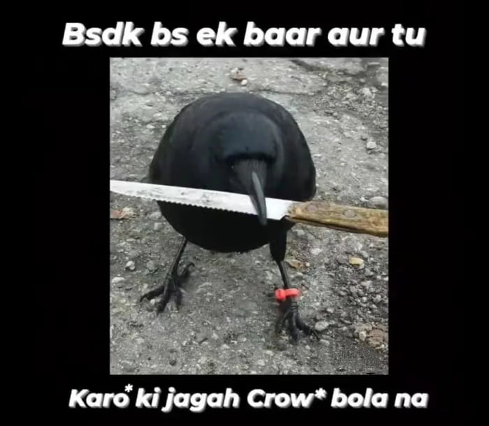Crow crow - 9GAG