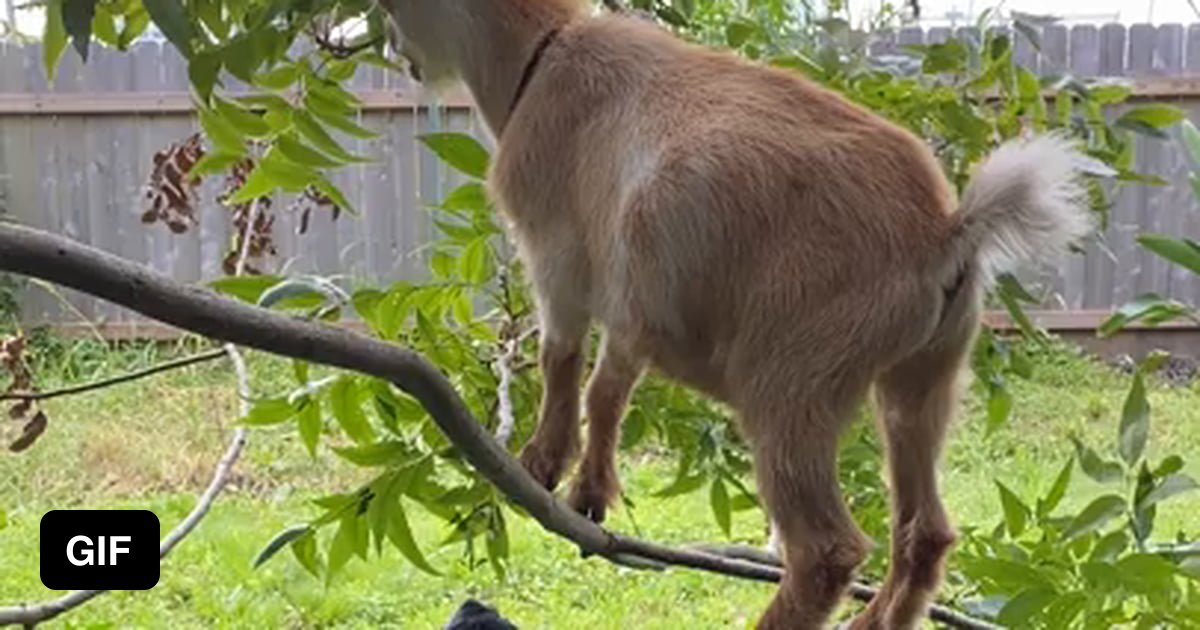 Helping a bro out - 9GAG