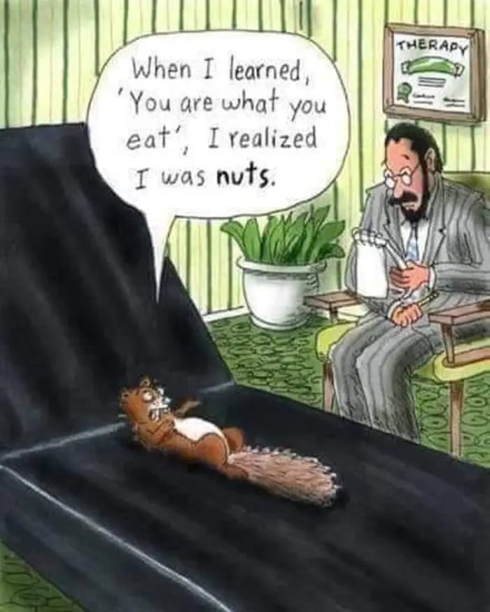 Groundnut - 9GAG