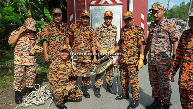 Why do firefighters wear camouflage? Captain? - 9GAG