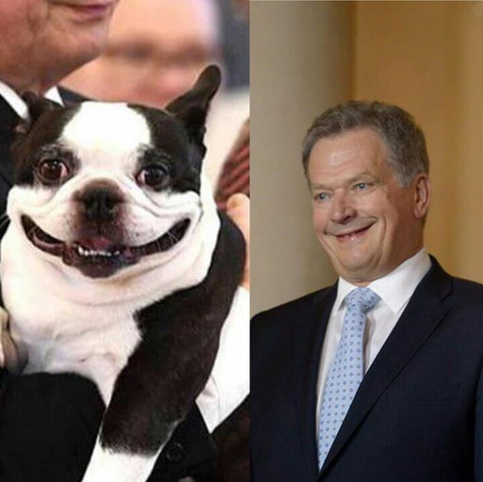 Finlands president and his doggo. - 9GAG