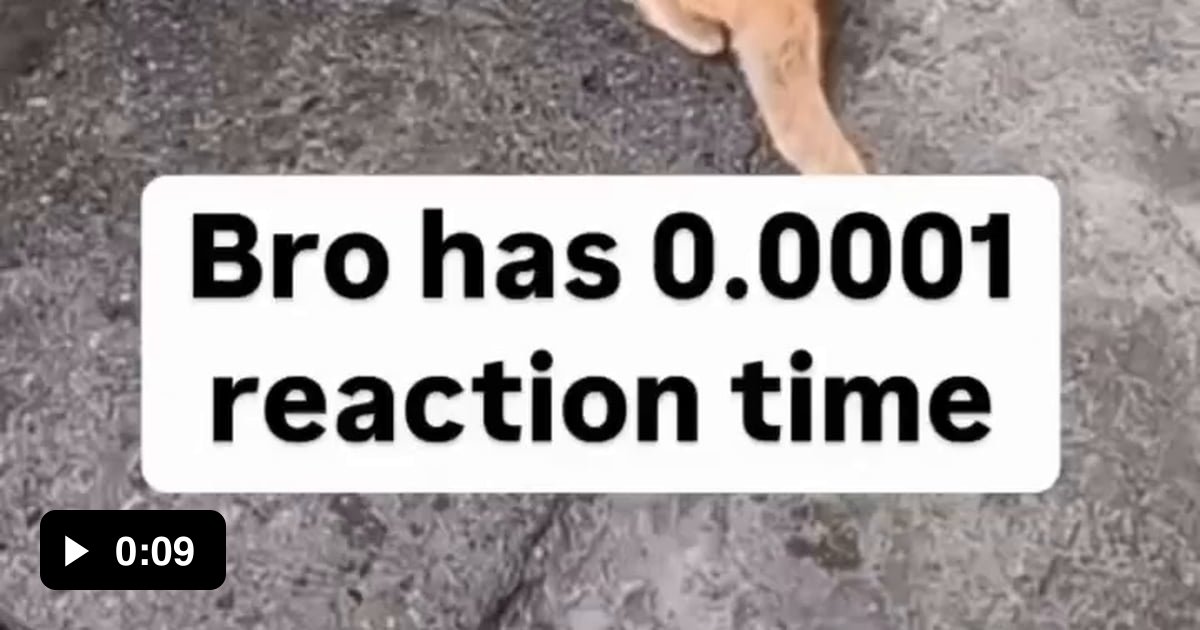 Ultra instinct catto - 9GAG