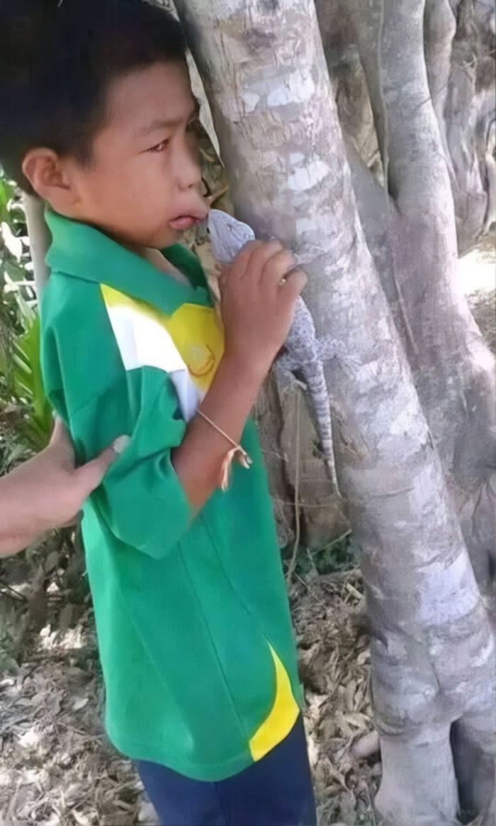 30 seconds after he got told not to get too close to the lizard - 9GAG
