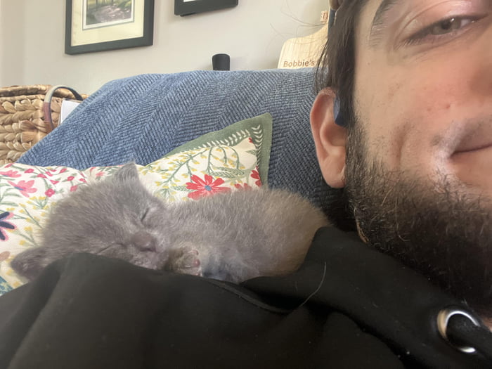 Shoulder naps hit different after second breakfast - 9GAG
