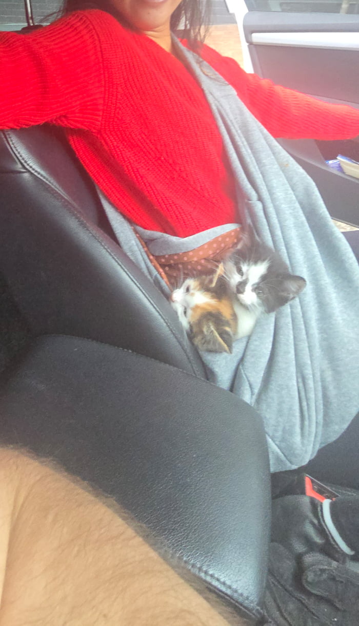 Smol bag of pickles - 9GAG