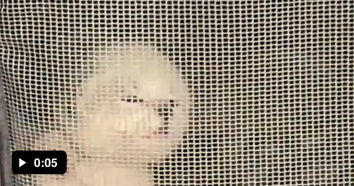 As the best eater, she is appealing the charges. - 9GAG