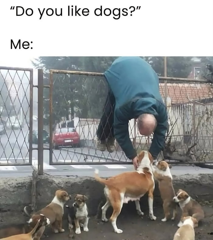 Op loves weiner dogs - 9GAG