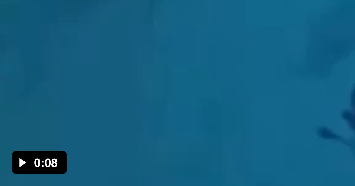 A very big shark almost takes a divers head as a snack - he is ok - 9GAG