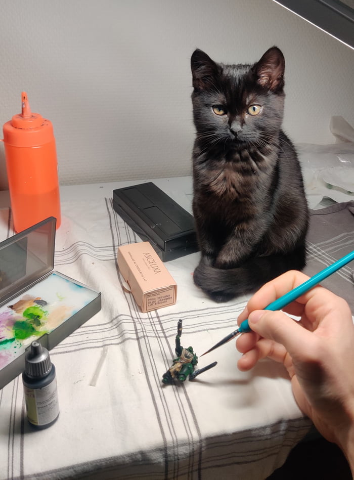 Astrée, my little void Warhammer painting assistant, she plays dark angels - 9GAG