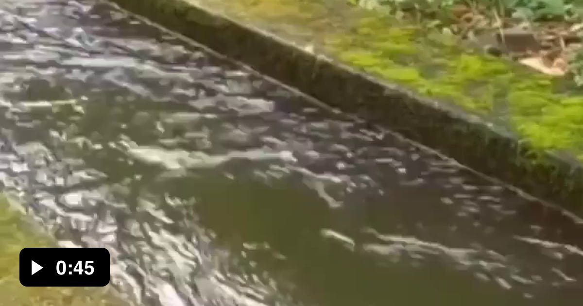 Generating electricity from a flowing stream. - 9GAG