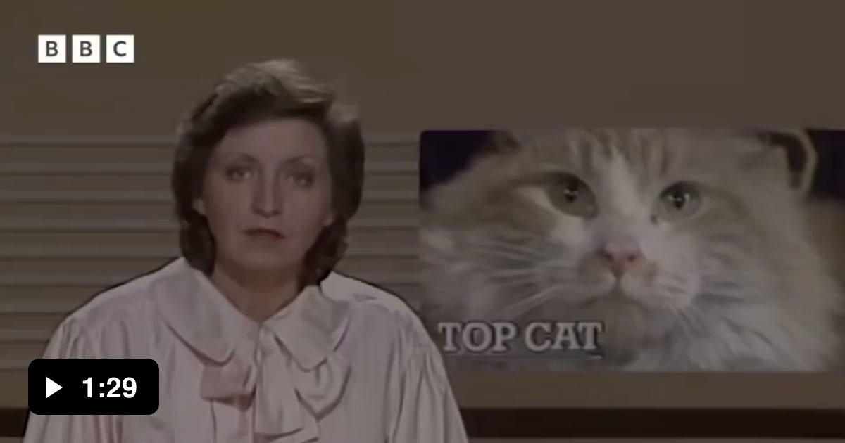 BBC report for 1983 about a Cat getting stuck up a 160ft chimney. - 9GAG