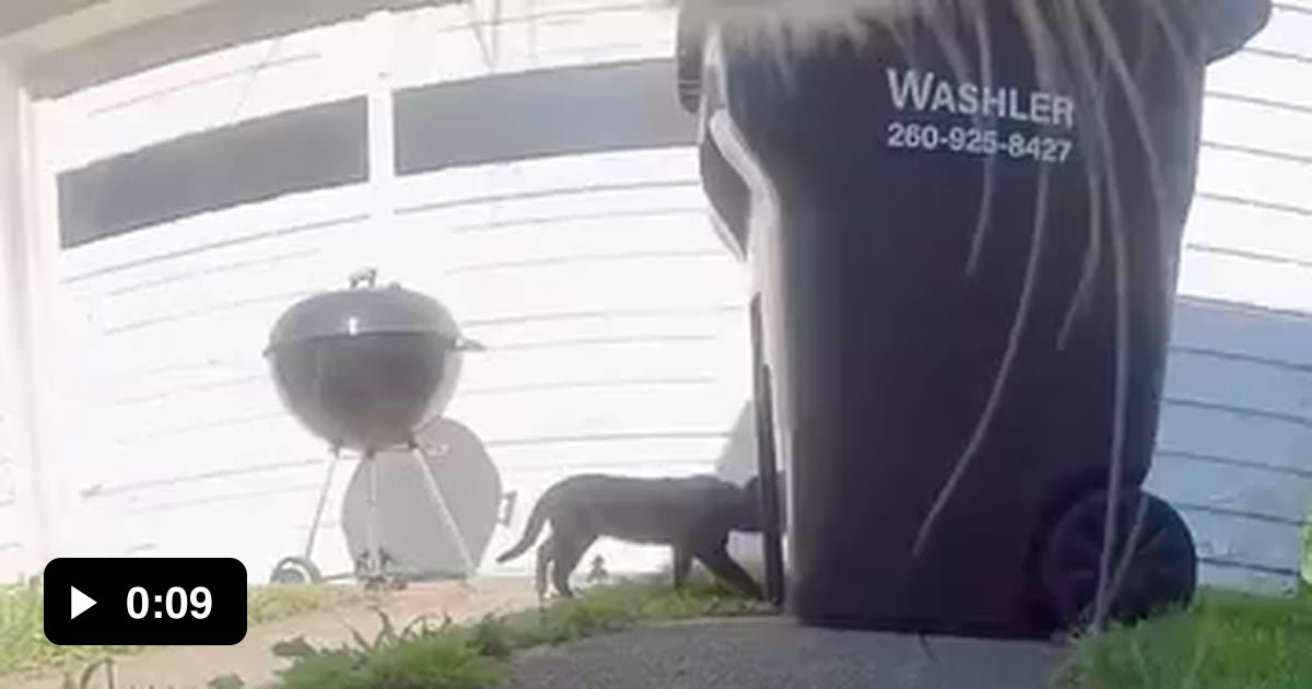 Ora Ora Ora Ora Ora - 9GAG