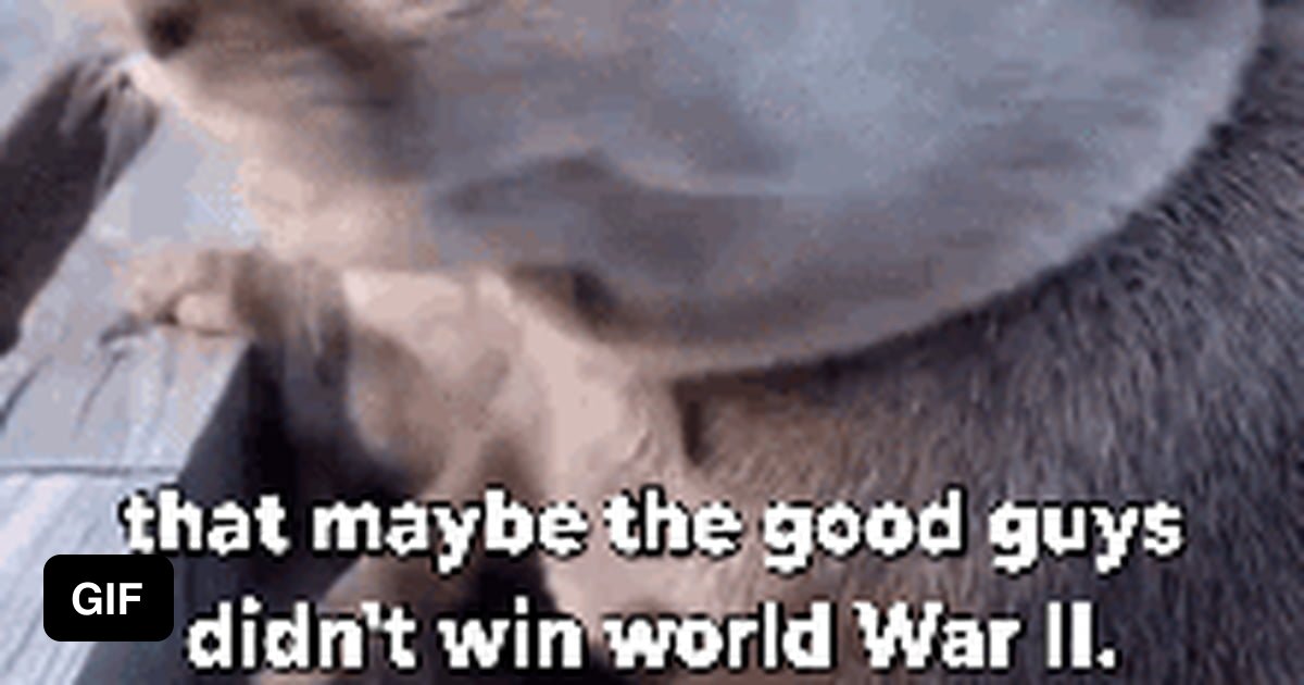 Coming to this conclusion after studying memes on 9gag - 9GAG