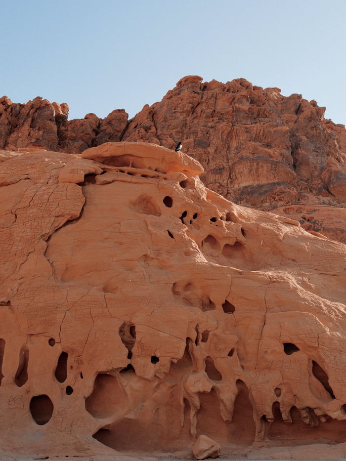 Holey moly, look at this rock - 9GAG