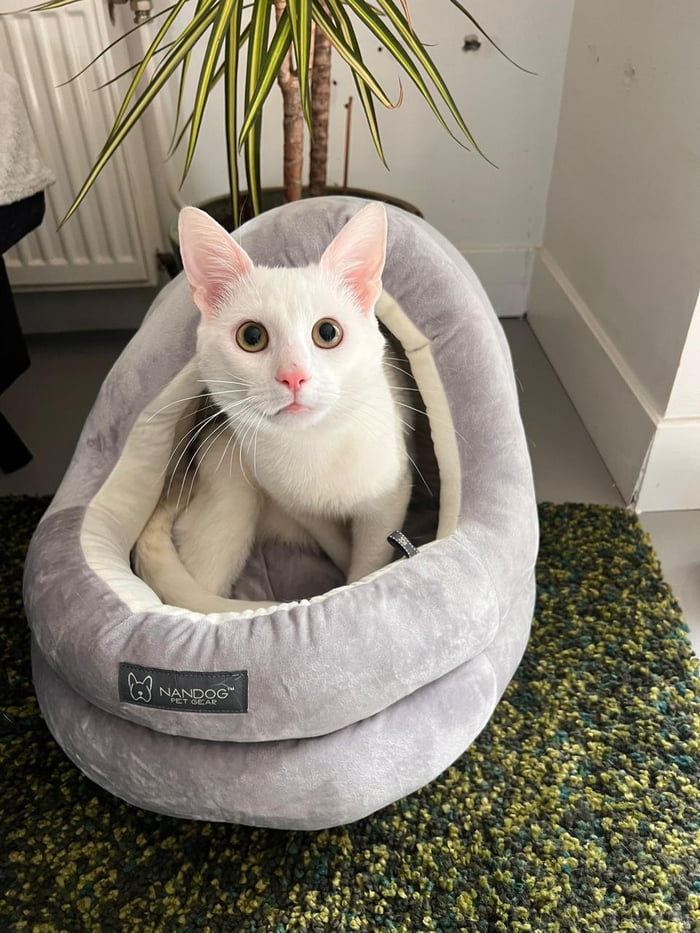 Reporting for duty. - 9GAG