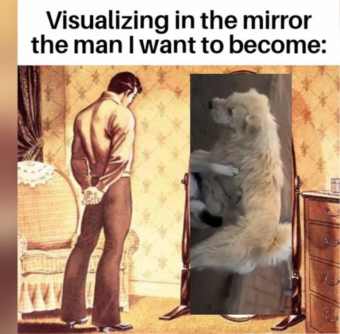 Respect the Alpha - 9GAG