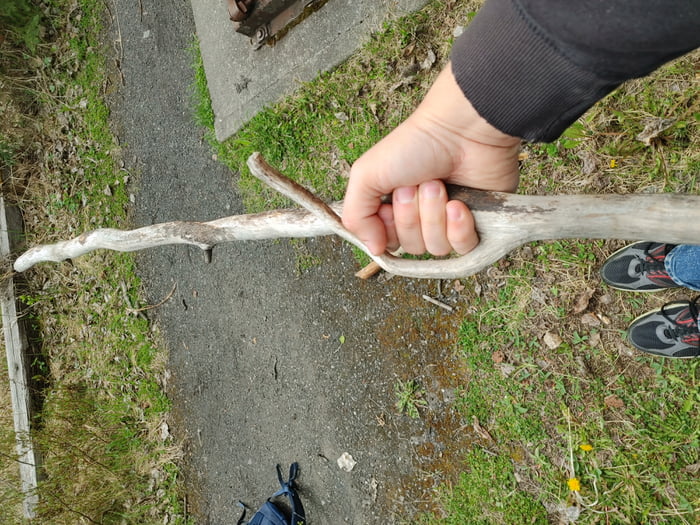 I found a stick. - 9GAG