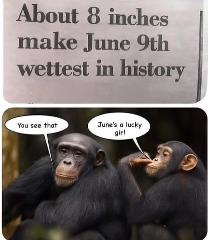 Reading the news carefully. - 9GAG