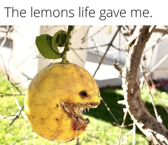 Demon lemon - 9GAG