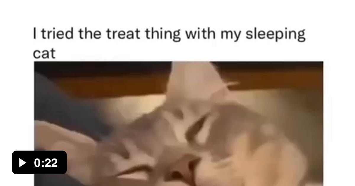 Dreaming kitty - 9GAG