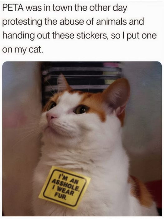 Fuzzy little satan still looks cute tho... - 9GAG